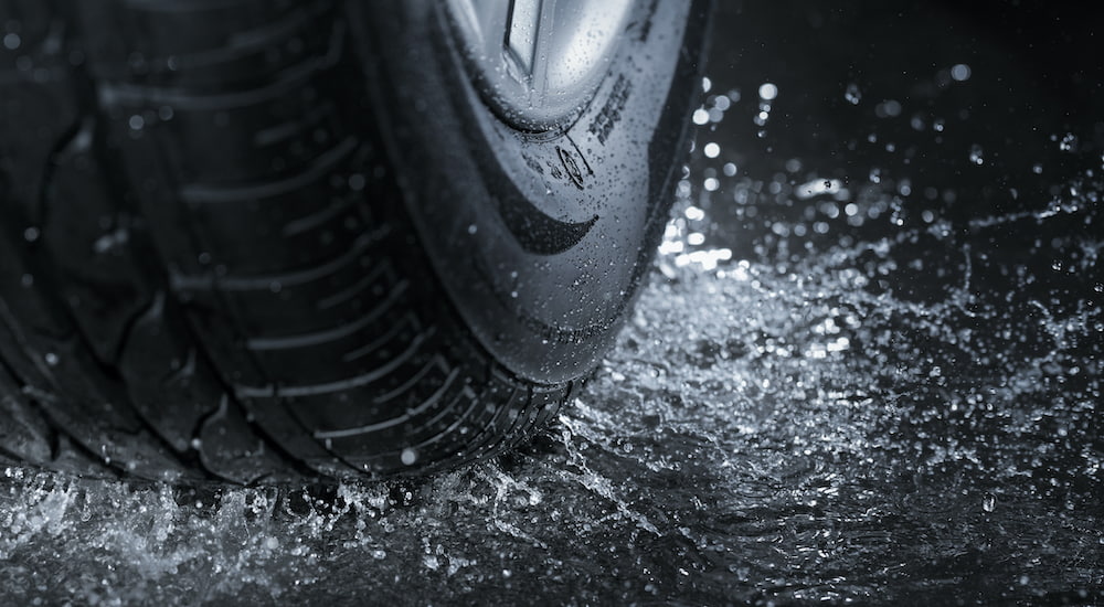 Dipping Your Feet Into the World of Water Fording